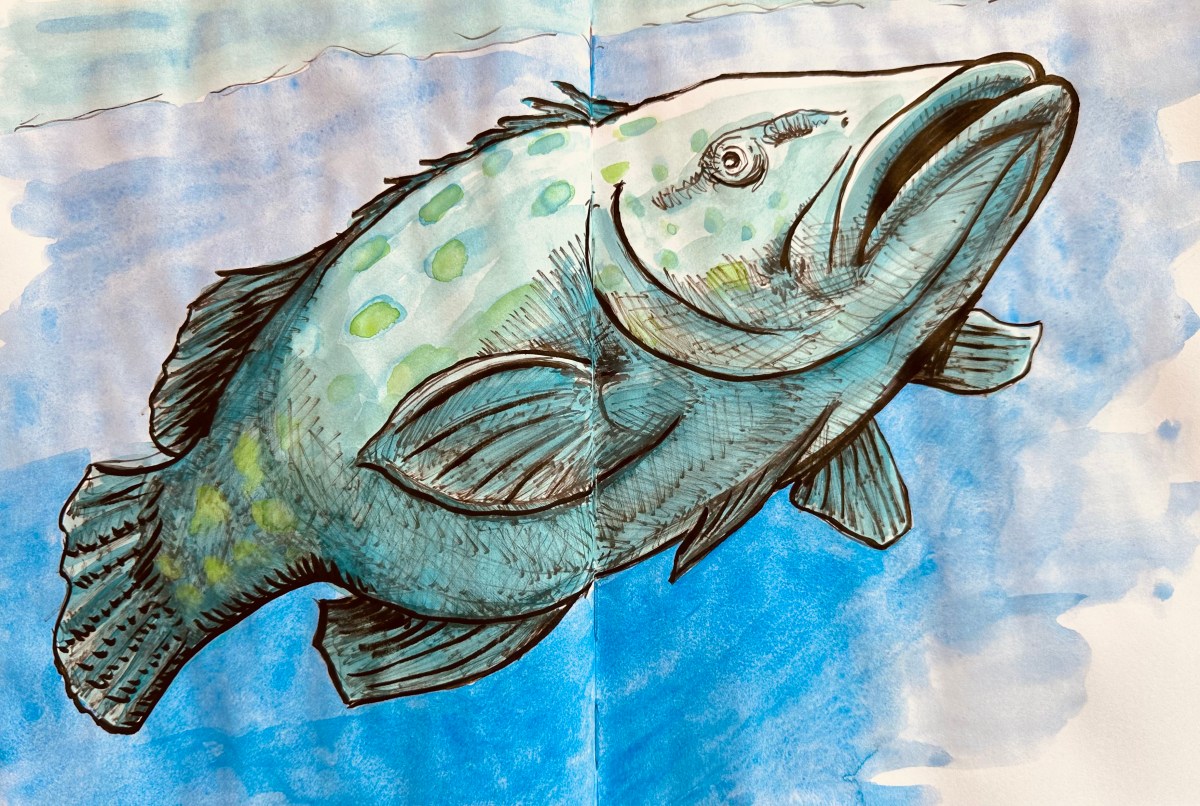Deep Sea Grouper | Craig Ford’s Fine-Art Blog